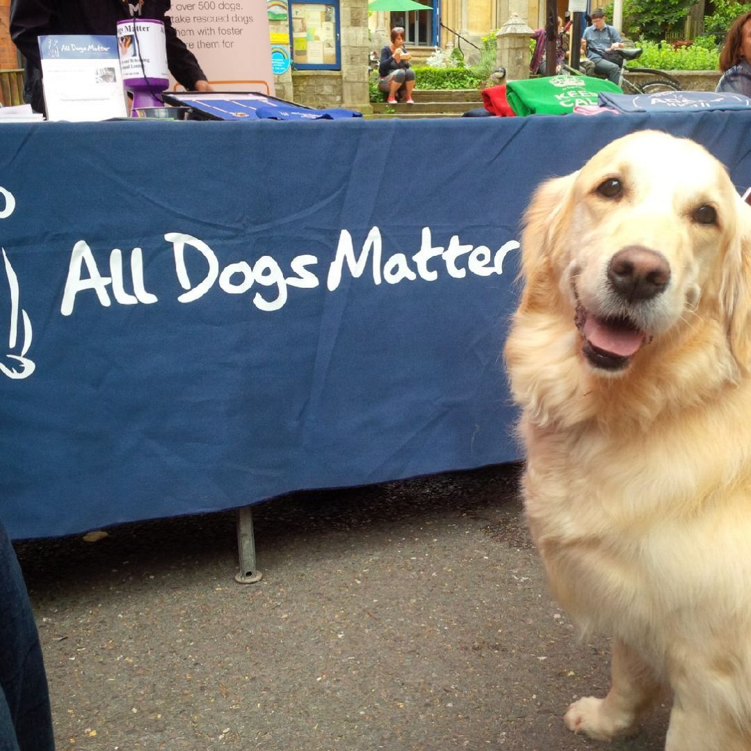 All Dogs Matter - M7 PR